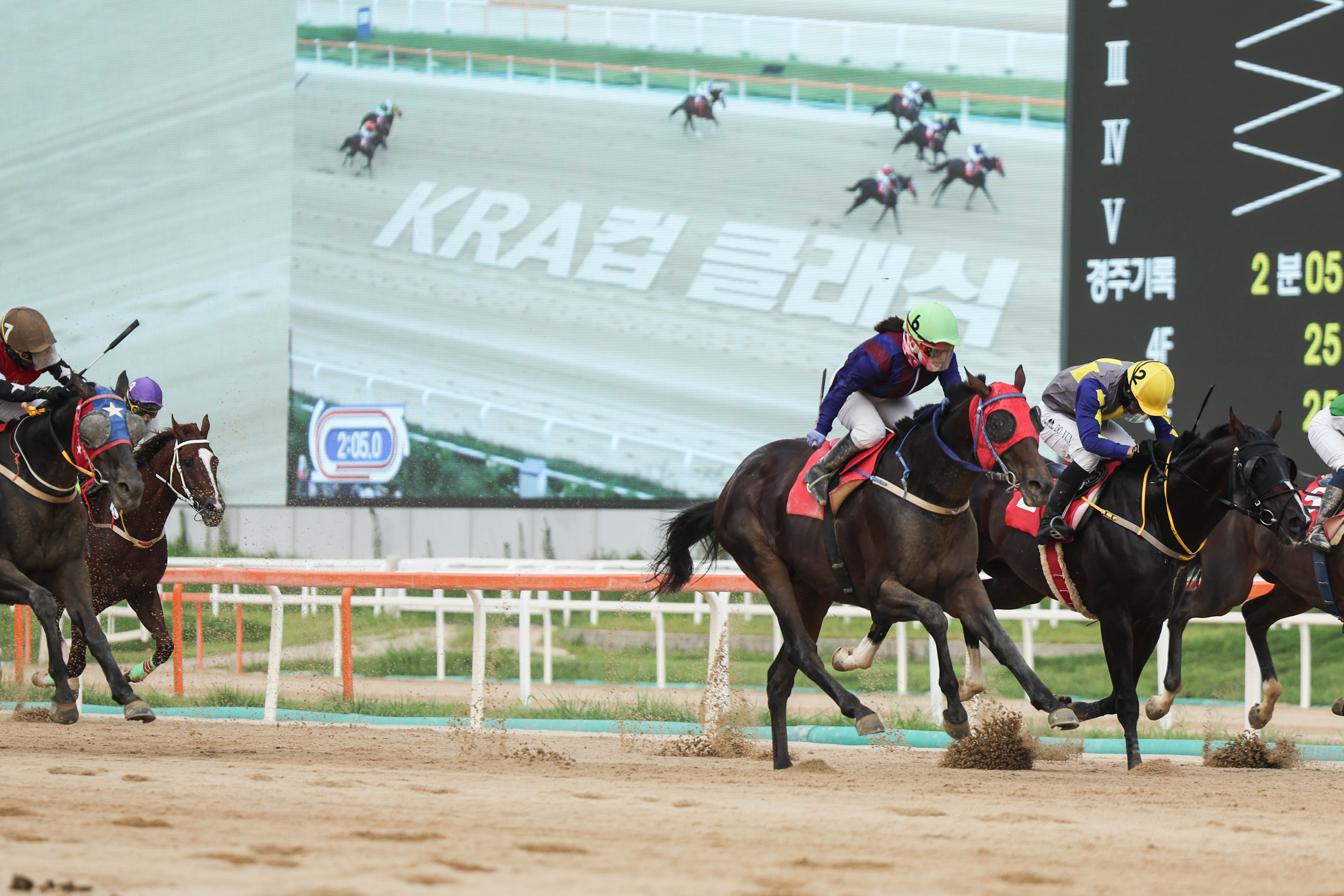 Keiai Dorie Out Of Sprint But Japan Still Favourite For Korea International Double | Sky Racing ...